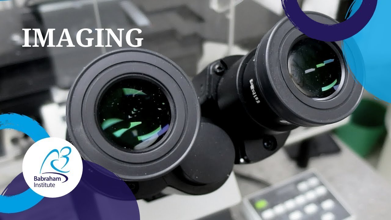 Imaging at the Babraham Institute | Explore our Science Facilities ...