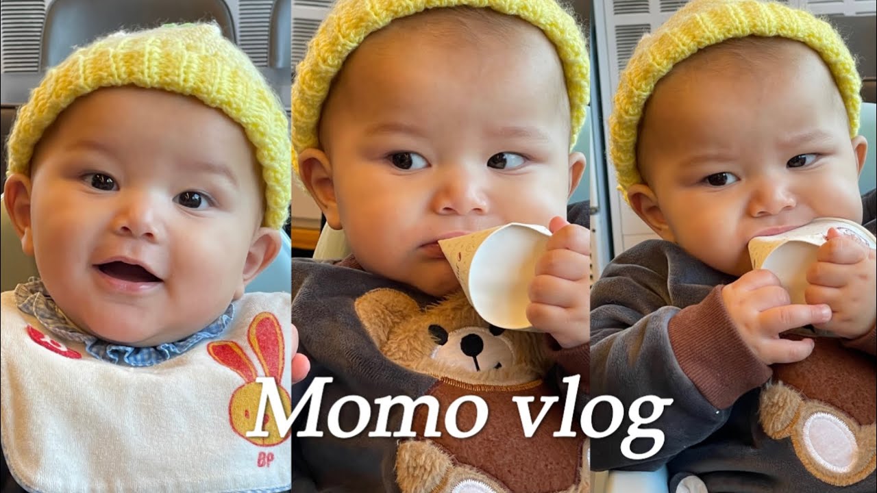 9개월 아기의 바쁜 일상 | 모모 브이로그 | baby momo vlog - YouTube