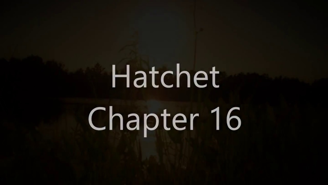 Hatchet Chapter 16 - YouTube