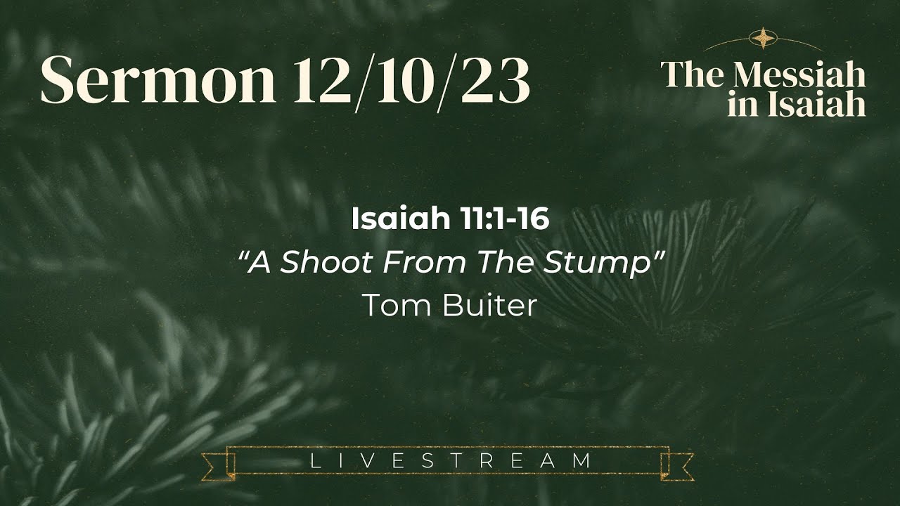 12/10/23 Sermon - Isaiah 11:1-16 “A Shoot From The Stump” - Tom Buiter ...