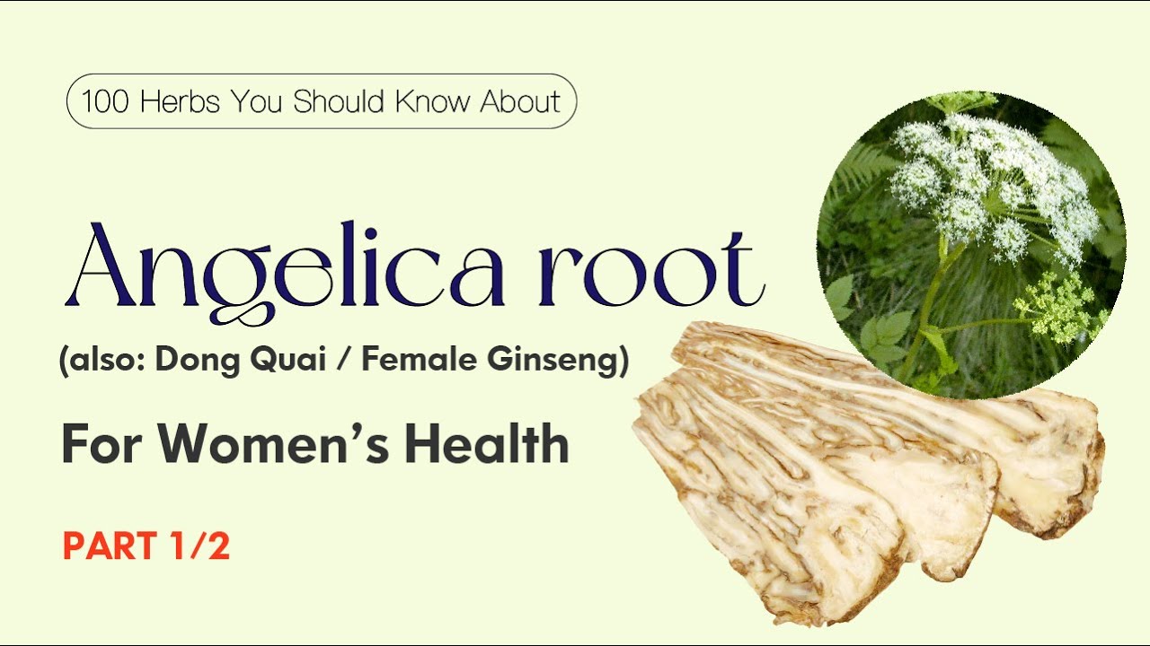 Angelica Root Benefits for Women's Health Part 1 | 4-min Video - YouTube