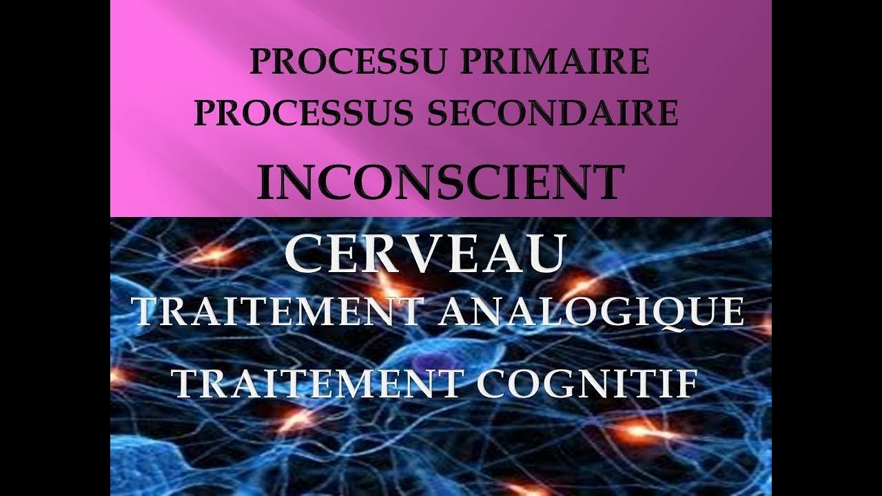 Inconscient et Cerveau : Processus Primaire et Secondaire ...