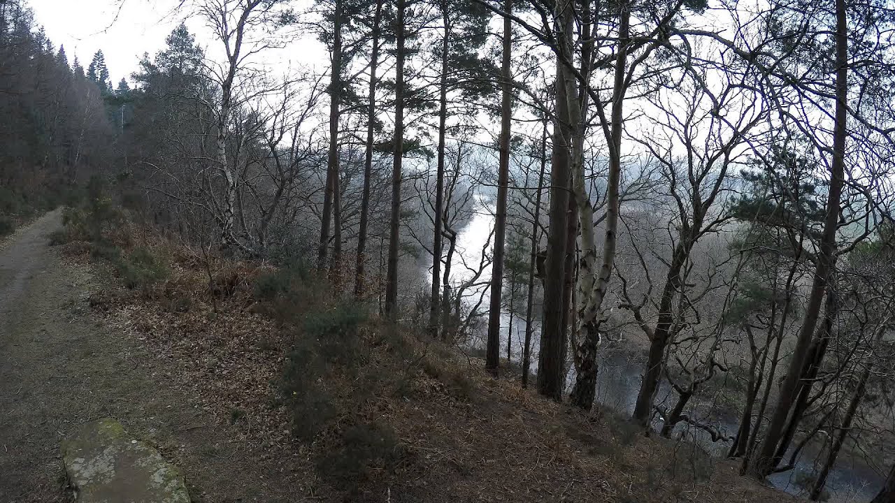 Coombs Wood, Armathwaite, Eden Benchmark, Vista, River Eden Cumbria ...