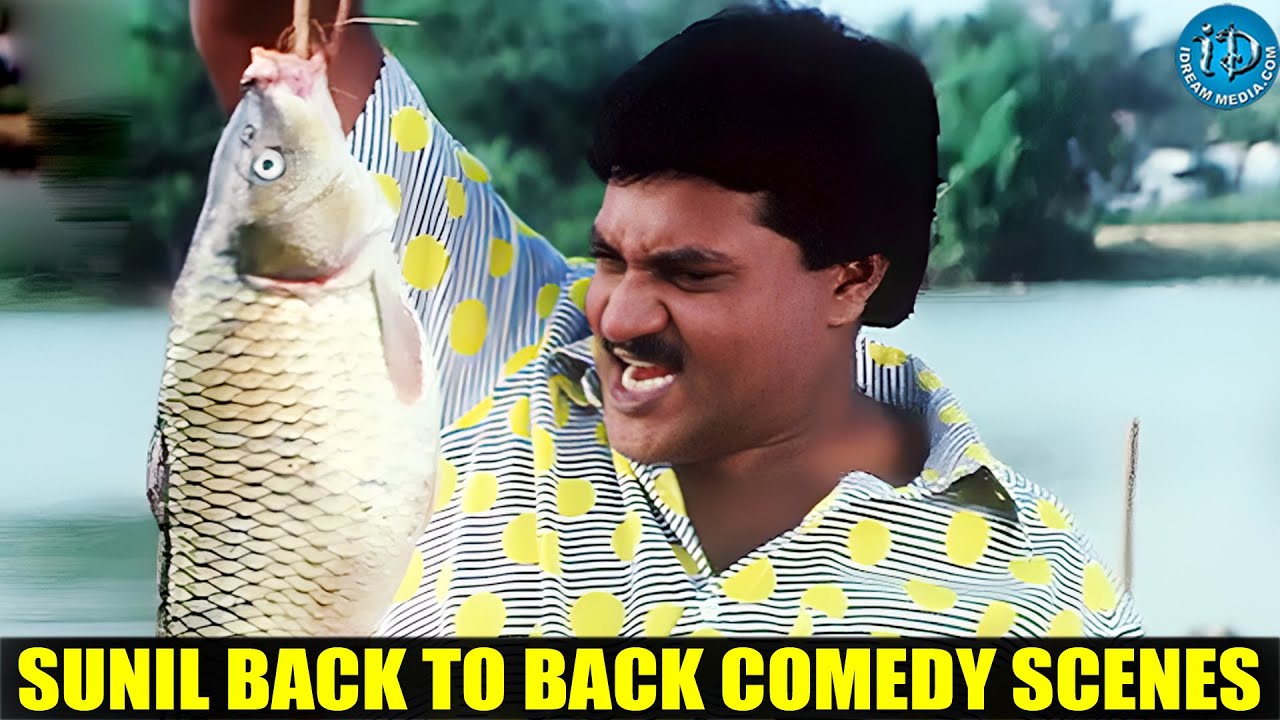 Sunil Back To Back Best Comedy Scenes | Sunil Comedy Scenes ...