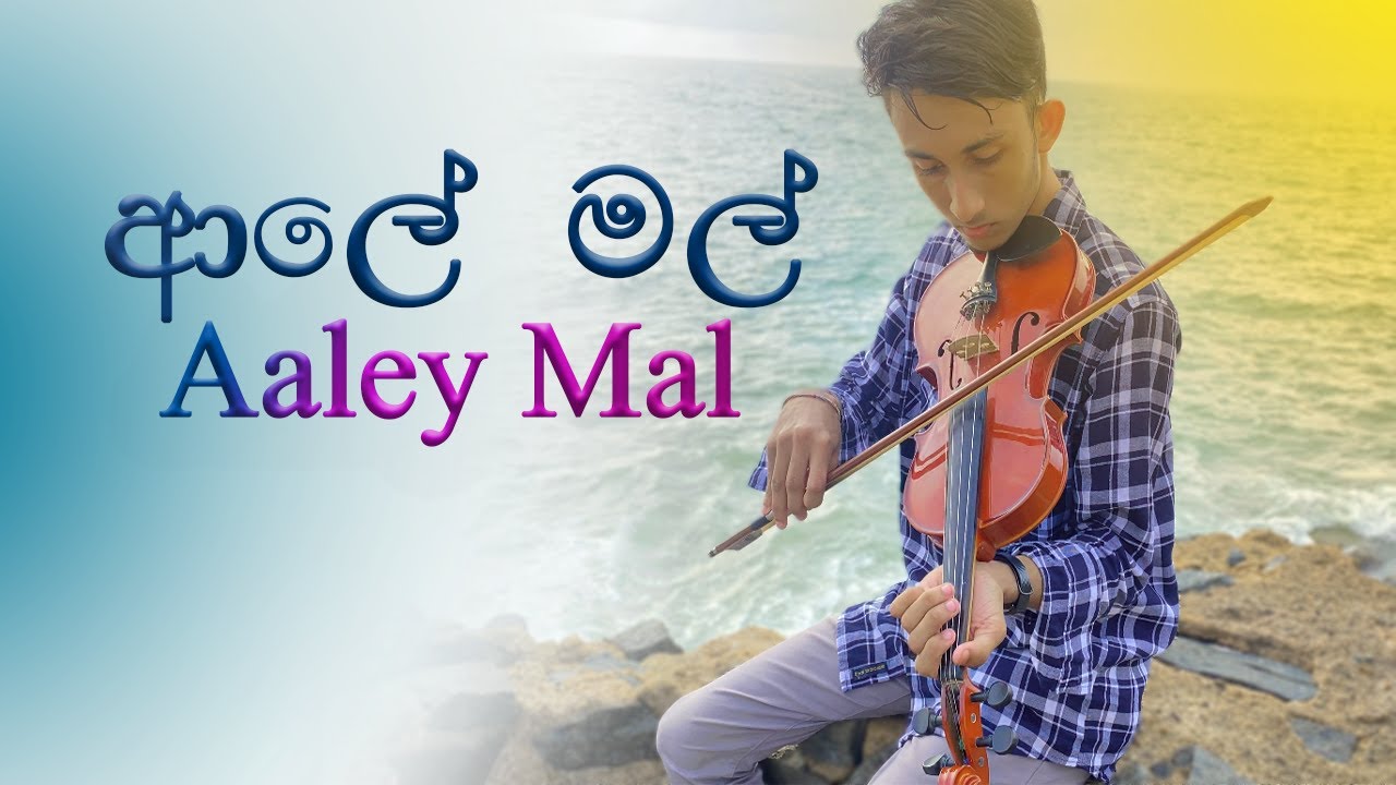 Aaley Mal ( ආලේ මල් ) -Cover (Violin) / Hasa🎻🎼 - YouTube