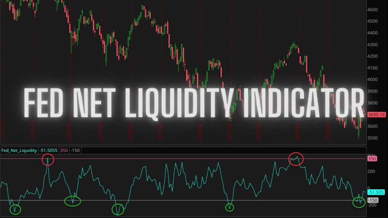 Fed Net Liquidity Indicator for ThinkorSwim - YouTube