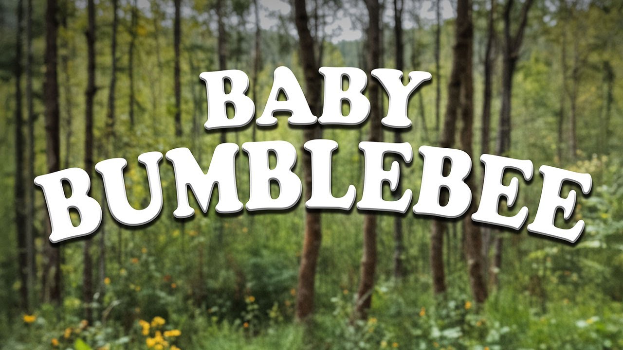BABY BUMBLEBEE | Nursery Rhyme - YouTube