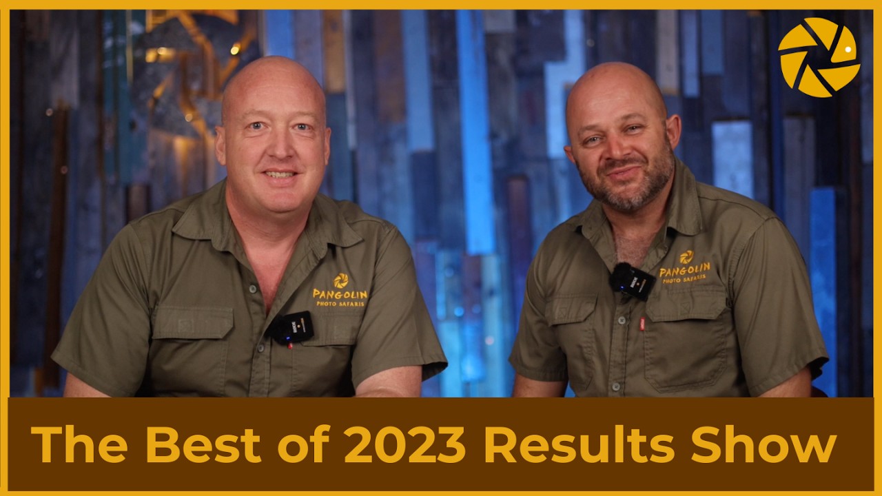 The Best of 2023 WINNING Images Revealed! - YouTube