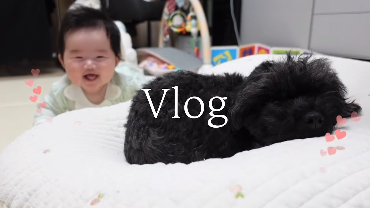 Vlog 혼자 잠드는 4개월 아기 분리수면👶🏻ㅣ애개육아🤍ㅣ아기 유산균ㅣ육아 브이로그ㅣ충격파 치료 효과🏥ㅣ소복갈비ㅣ아기옷 언박싱