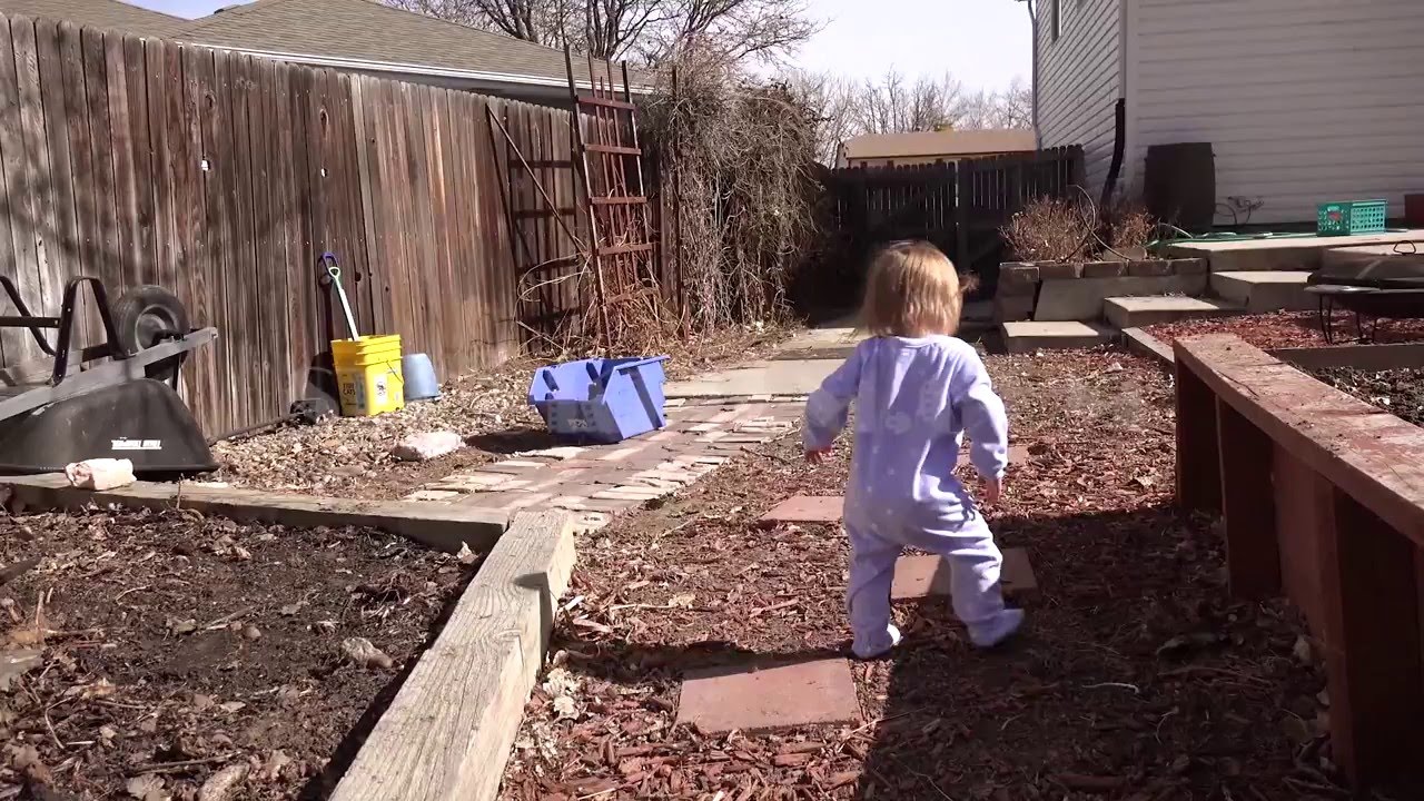 Baby walking outside backyard garden landscaped area smiles. DENVER ...