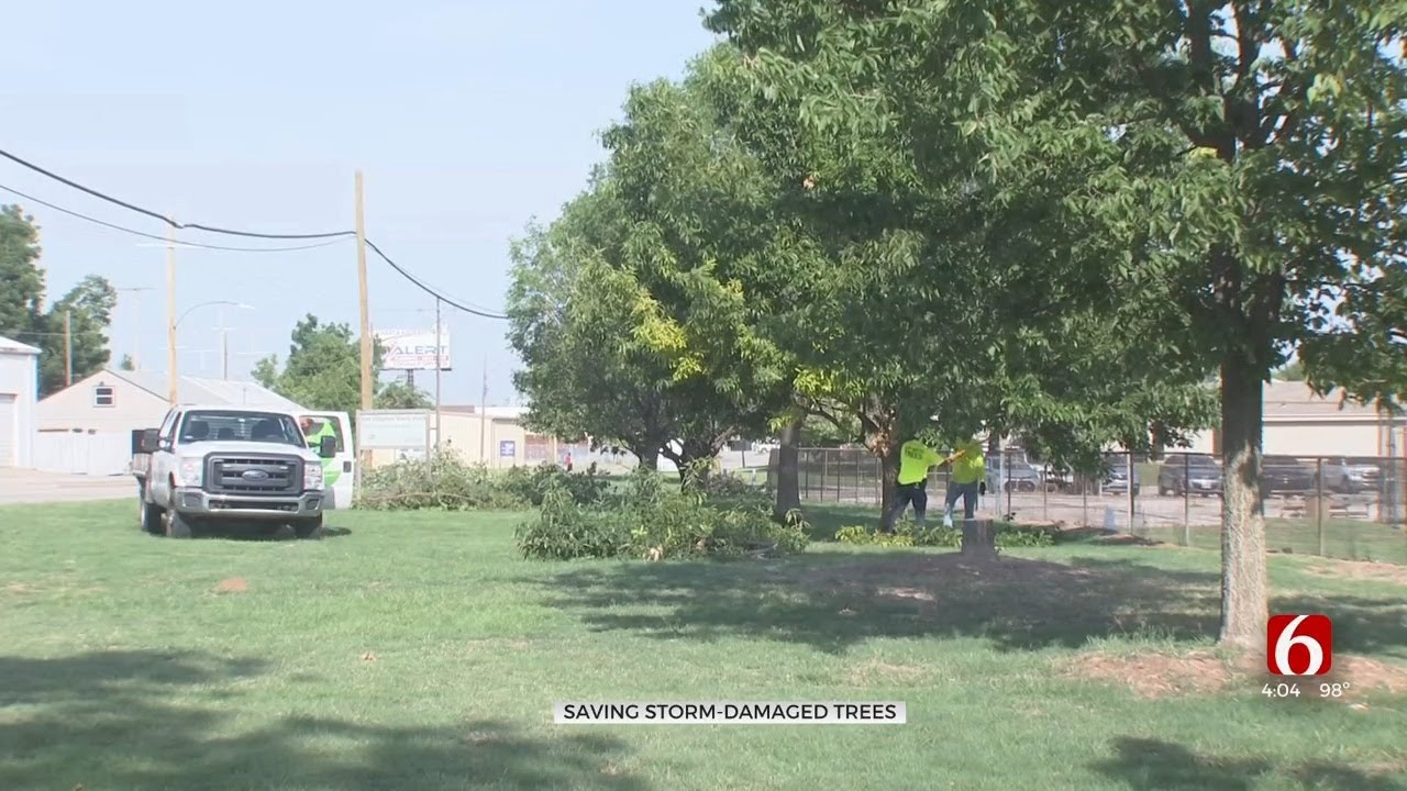 'Up With Trees' Helping Tulsa Homeowners Evaluate Damage From June ...
