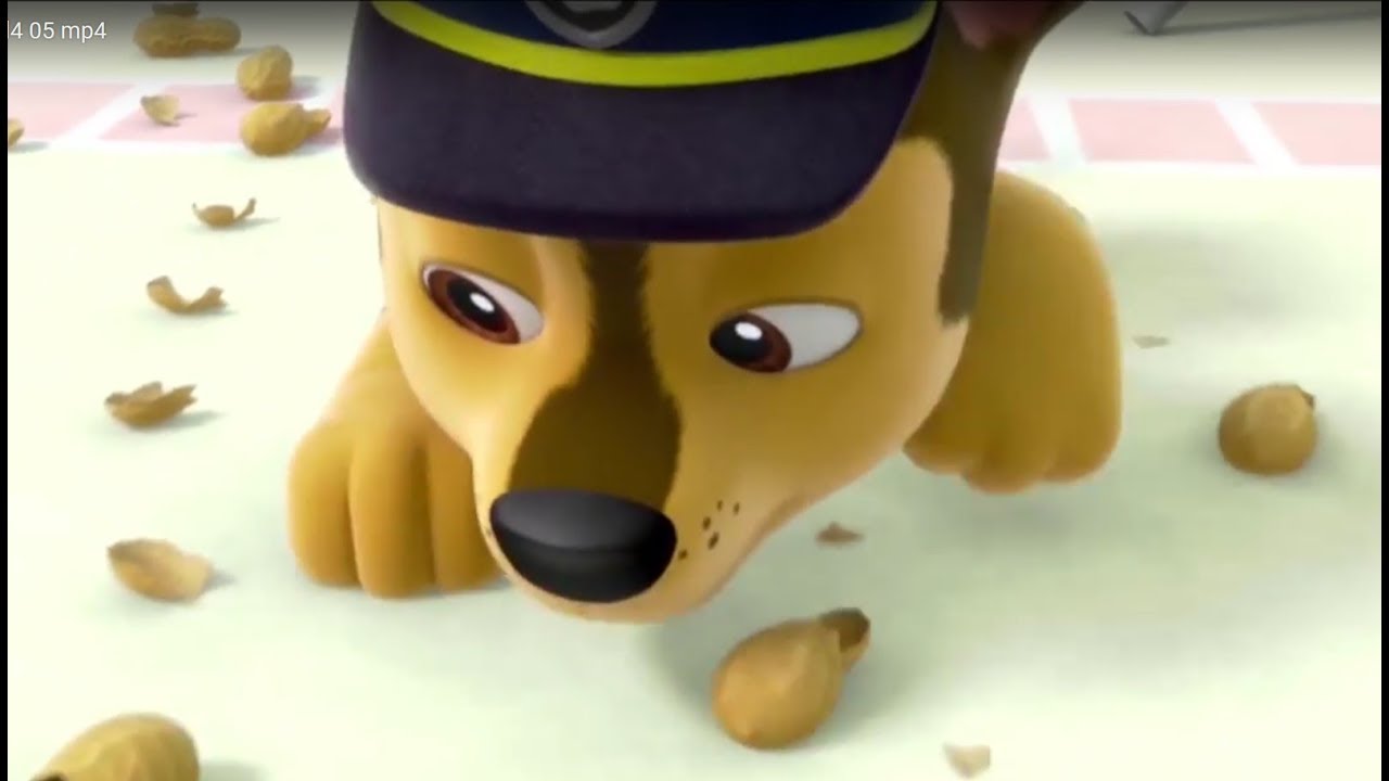Paw patrol Full Episodes English For Kids - Best Kids Movie Cartoons ...