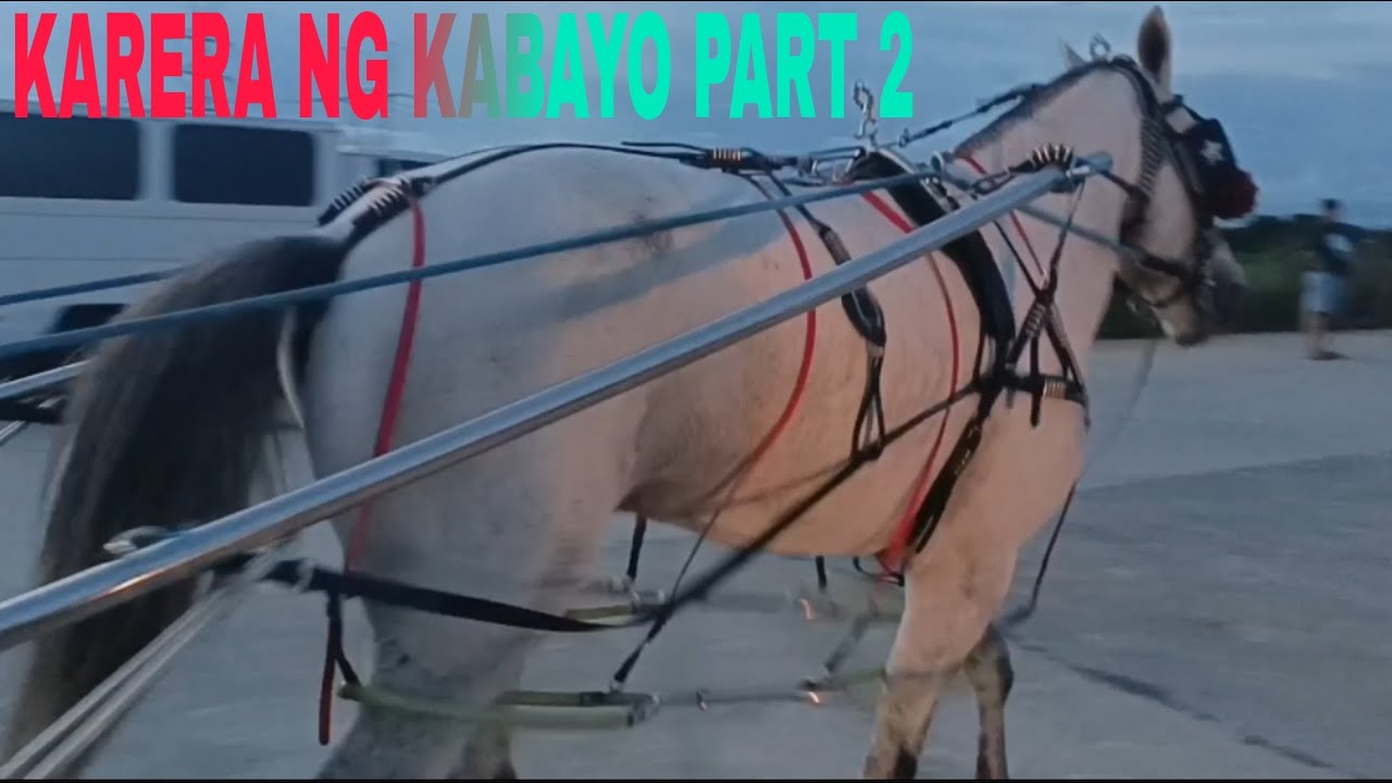 84, KARERA NG KABAYO PART 2 - YouTube