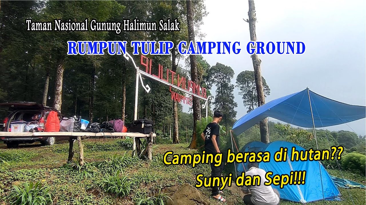 CAMPING DI RUMPUN TULIP CAMP GROUND || Taman Nasional Gunung Halimun ...