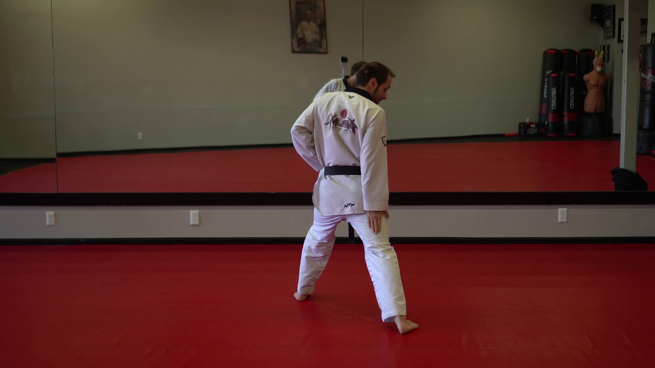 White Belt Form Taegeuk IlJang Reverse view explained - YouTube