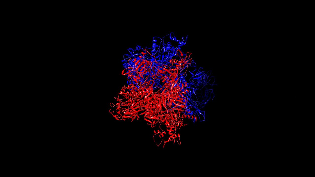 Site B Of The Human Thyroglobulin Tg Youtube