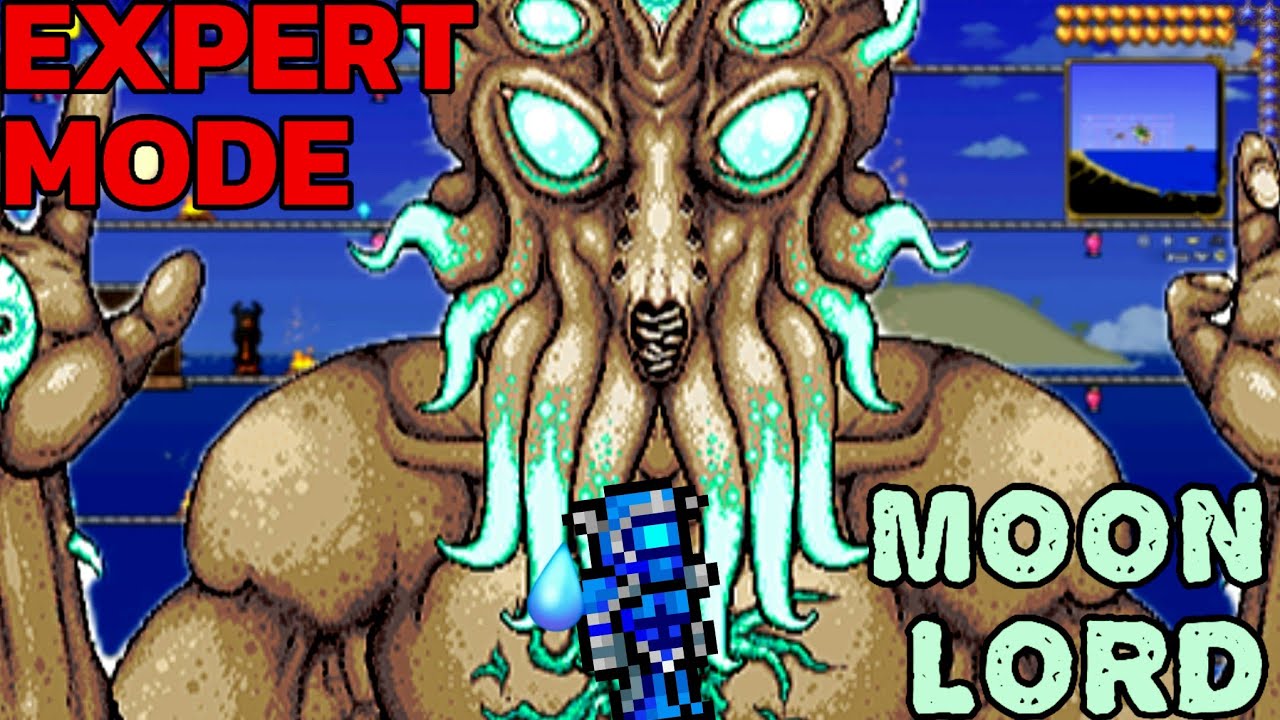 Fighting Moon Lord In EXPERT MODE! Final Part - YouTube