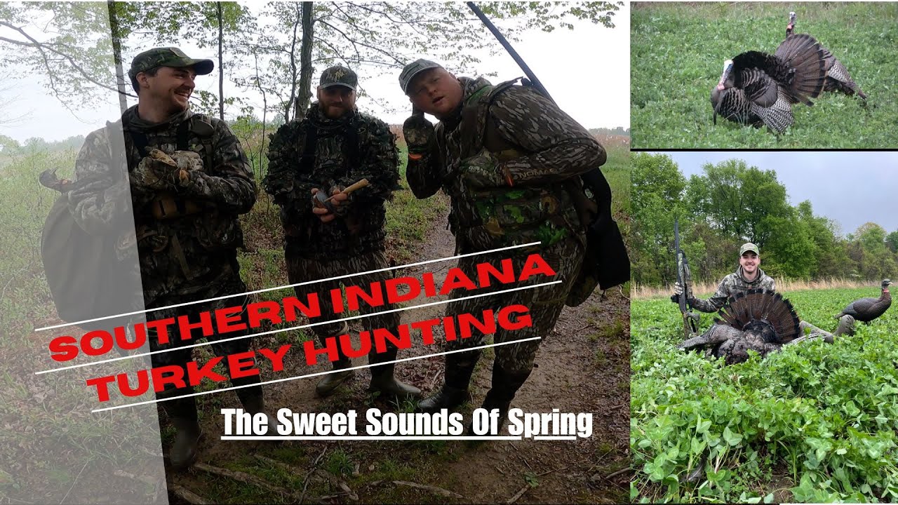 Gobbler That Just Won't Break Strut - Southern Indiana Turkey Hunting ...