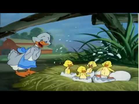 Cute Duck Tom N Jerry - YouTube