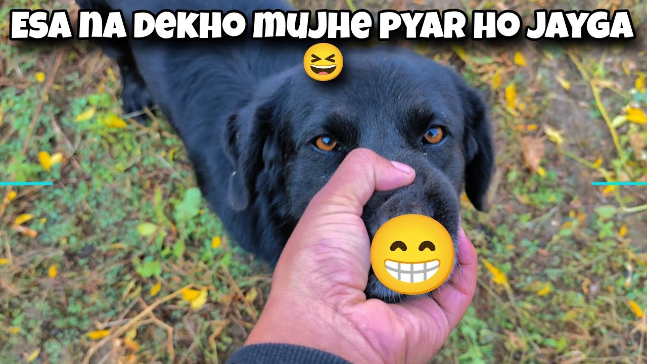 Diwali ki saf sfai || Kitna pyara hai ye 😘|| Eski masumiyat ne ...