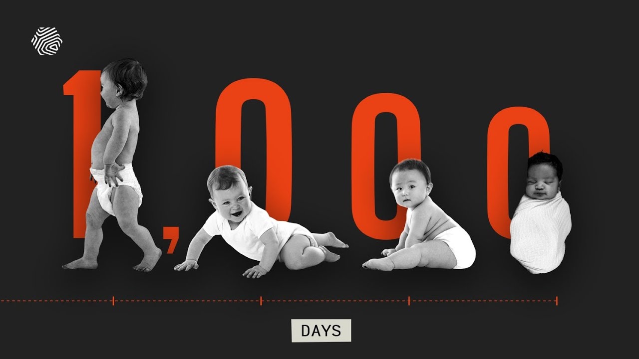 #what is the 1000 day of baby care# why is the first 1000 days of life ...
