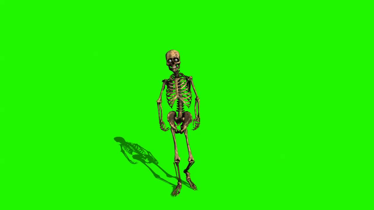 skeleton cool walk front angle in green screen - YouTube