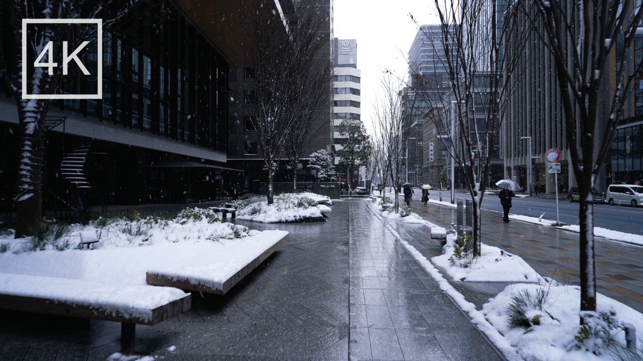 【4K】Nihonbashi and Ginza, Tokyo walking tour in the snow - YouTube