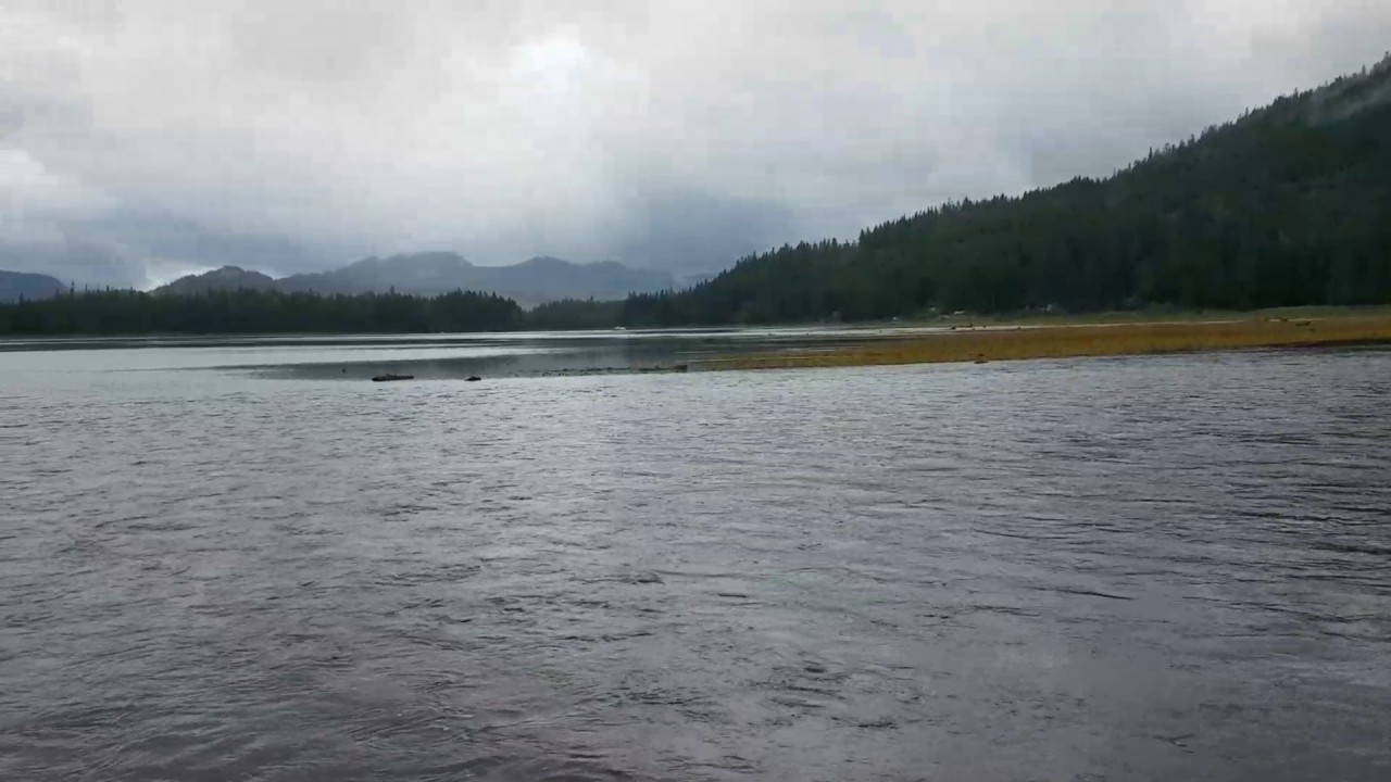 Maybeso creek- Hollis, Alaska - YouTube
