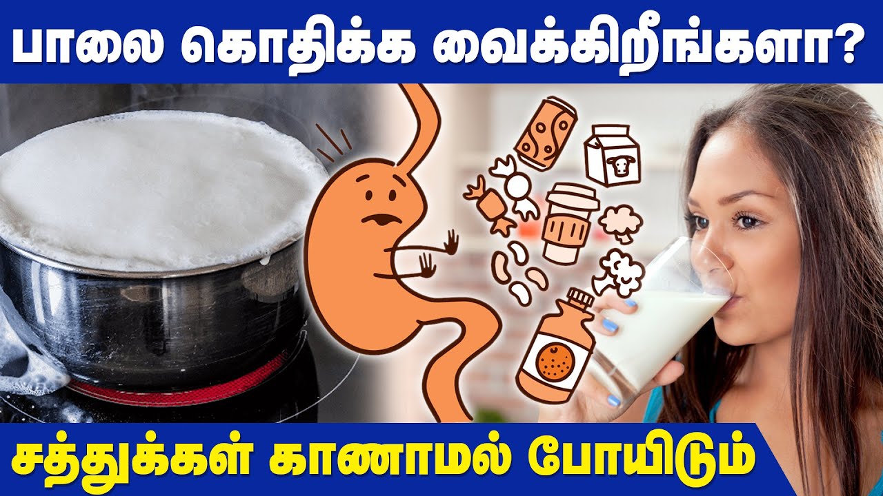 Effects of Boiling Milk for Long Time | Right Ways to Boil Milk - YouTube