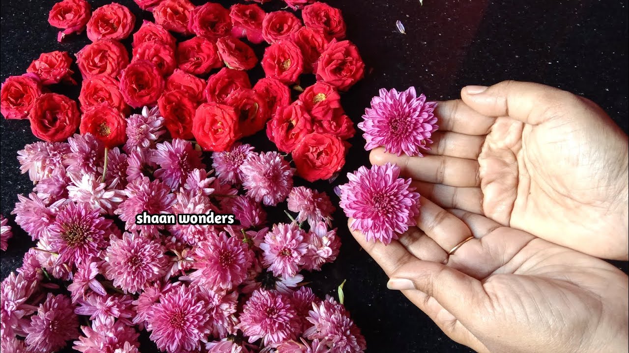 Pink Chrysanthemum flowers and small red rose flowers garland making ...