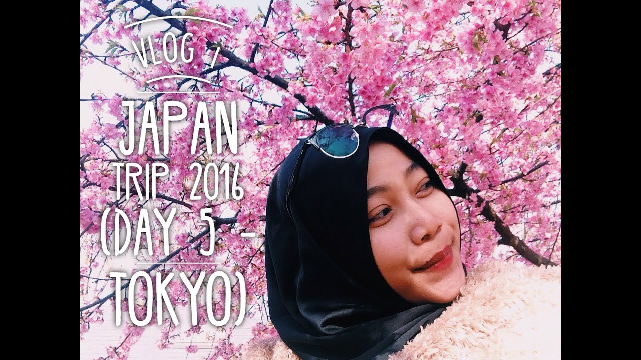 VLOG | JAPAN TRIP 2016 (Day 5 - TOKYO) - YouTube