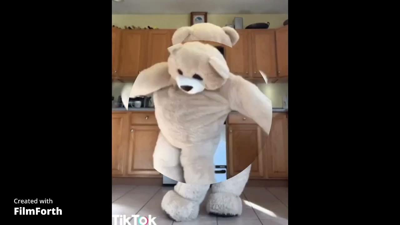 Dancing Bear Youtube