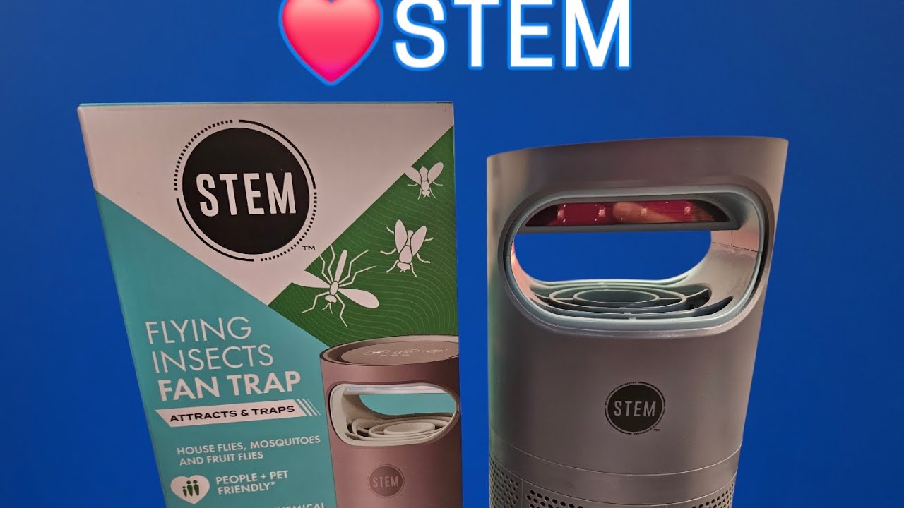 Stem for Flying insects - YouTube