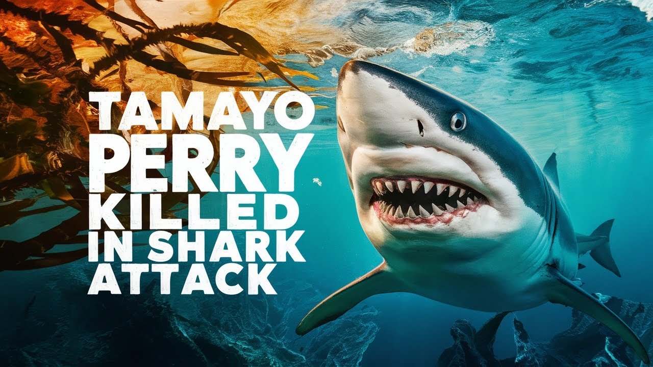 Pirates of the Caribbean Actor Killed in Shark Attack - YouTube