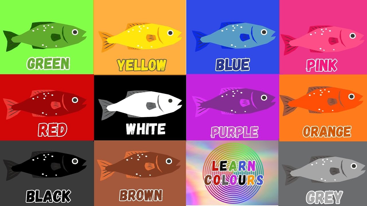 The Colors Song for Kids & Toddlers | Learn English Color Vocabulary ...