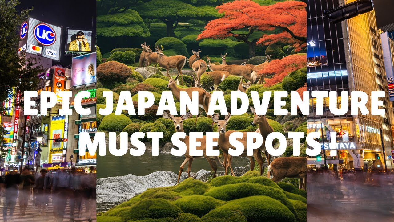 Epic Japan Adventure Must See Spots! - YouTube