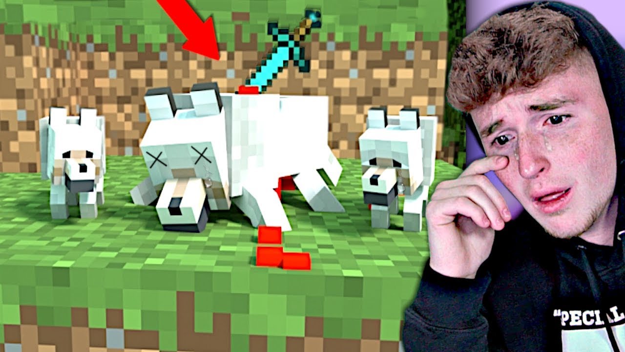 The SADDEST Minecraft Animations On The Internet.. (YOU WILL CRY) - YouTube
