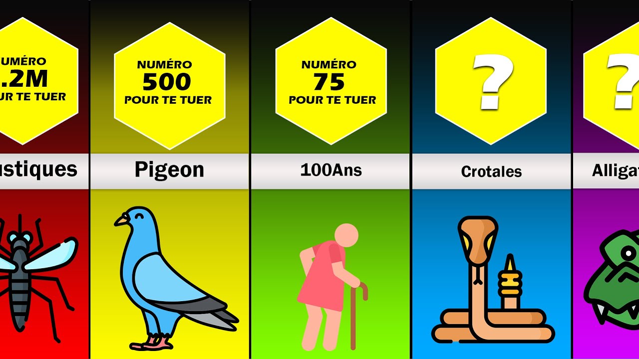 Qui Est Le Plus Rapide À Tuer? - YouTube