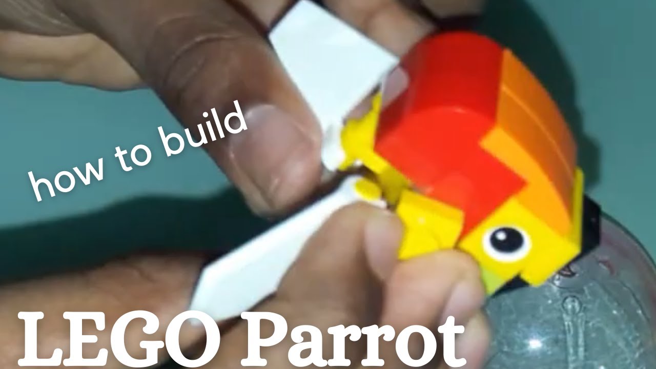 Lego Parrot | Lego bird| capsule toy - YouTube