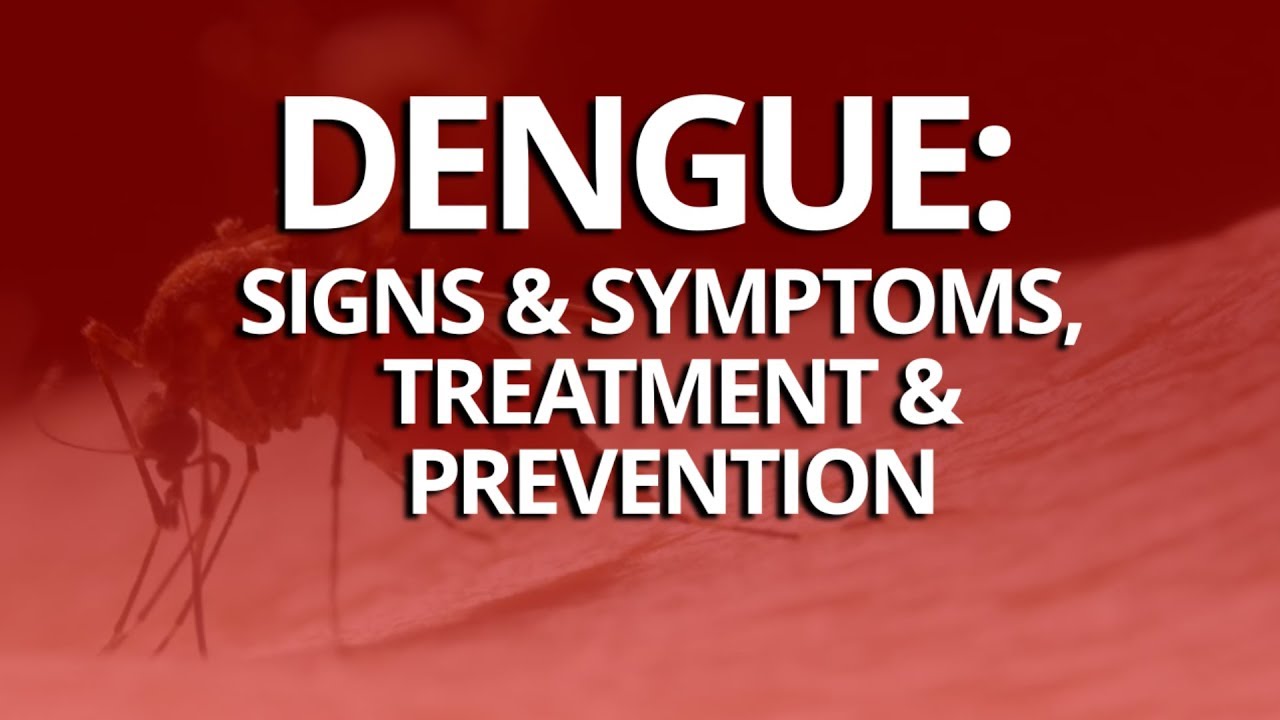 Dengue: Signs and Symptoms, Treatmeant and Prevention (Live Webinar ...