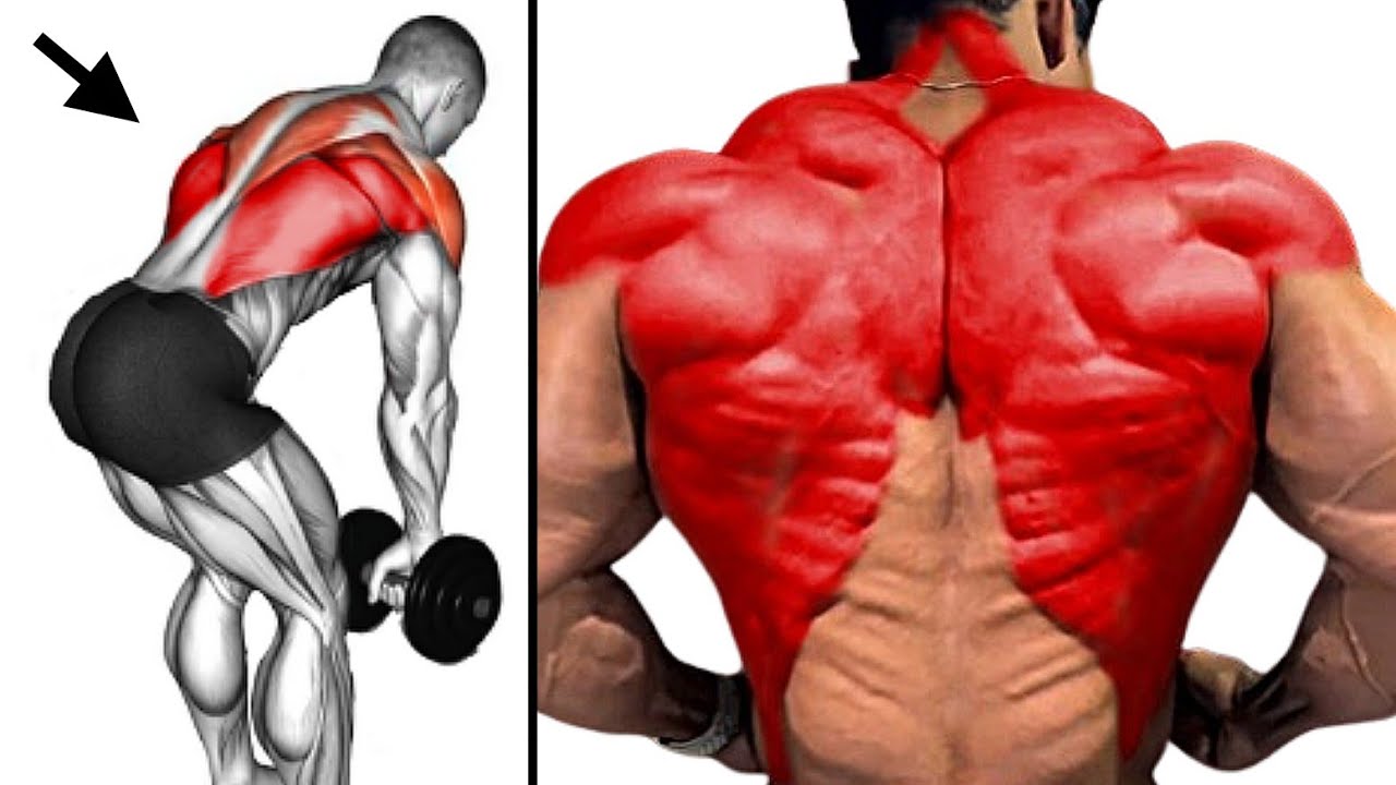 Bigger Back Exercises at Gym You Need - YouTube