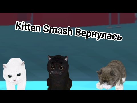 Я поиграл в Kitten Cat Smash в 2025 году - YouTube