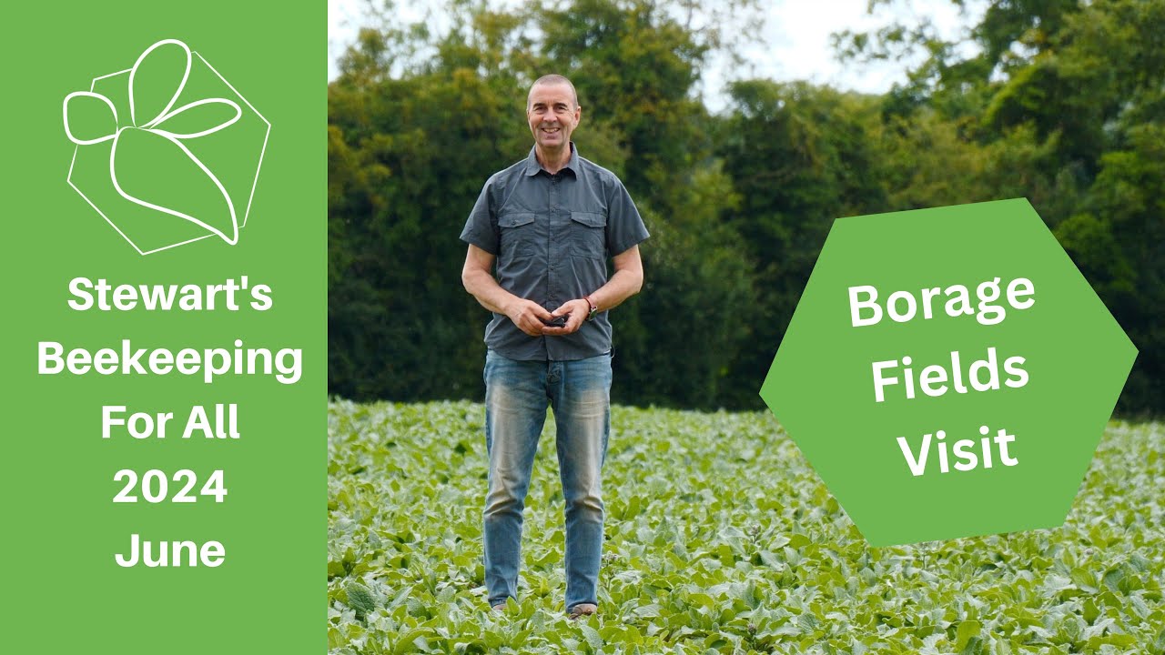 Borage Fields Visit - Stewart Spinks From The Norfolk Honey Co. - YouTube