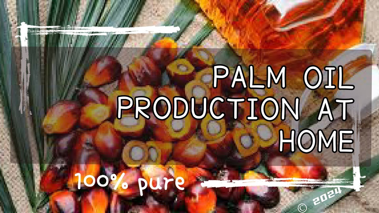 Try making palm oil this way....see RESULT😲😲😲 - YouTube