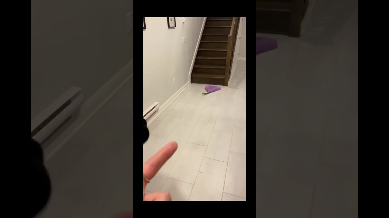 Alexia and jaystation fight🤣 - YouTube