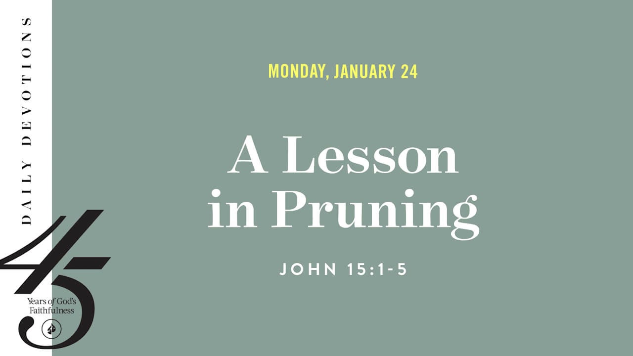 A Lesson in Pruning – Daily Devotional - YouTube