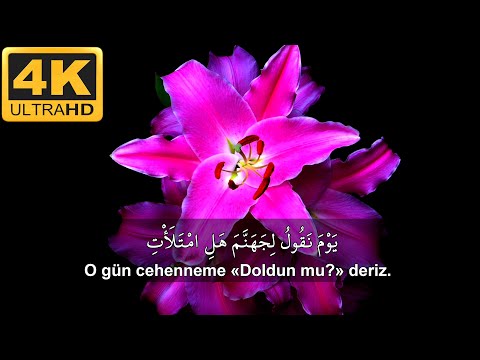 Kaf Suresi丨İslam Subhi ⁴ᴷ丨Muhteşem Kıraat ¹¹丨O gün cehenneme \