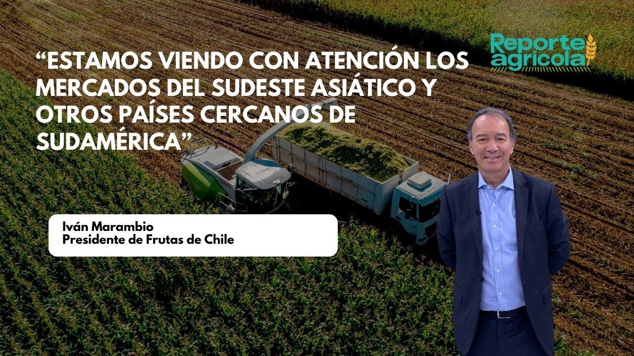 Entrevista con Iván Marambio, presidente de Frutas de Chile - YouTube