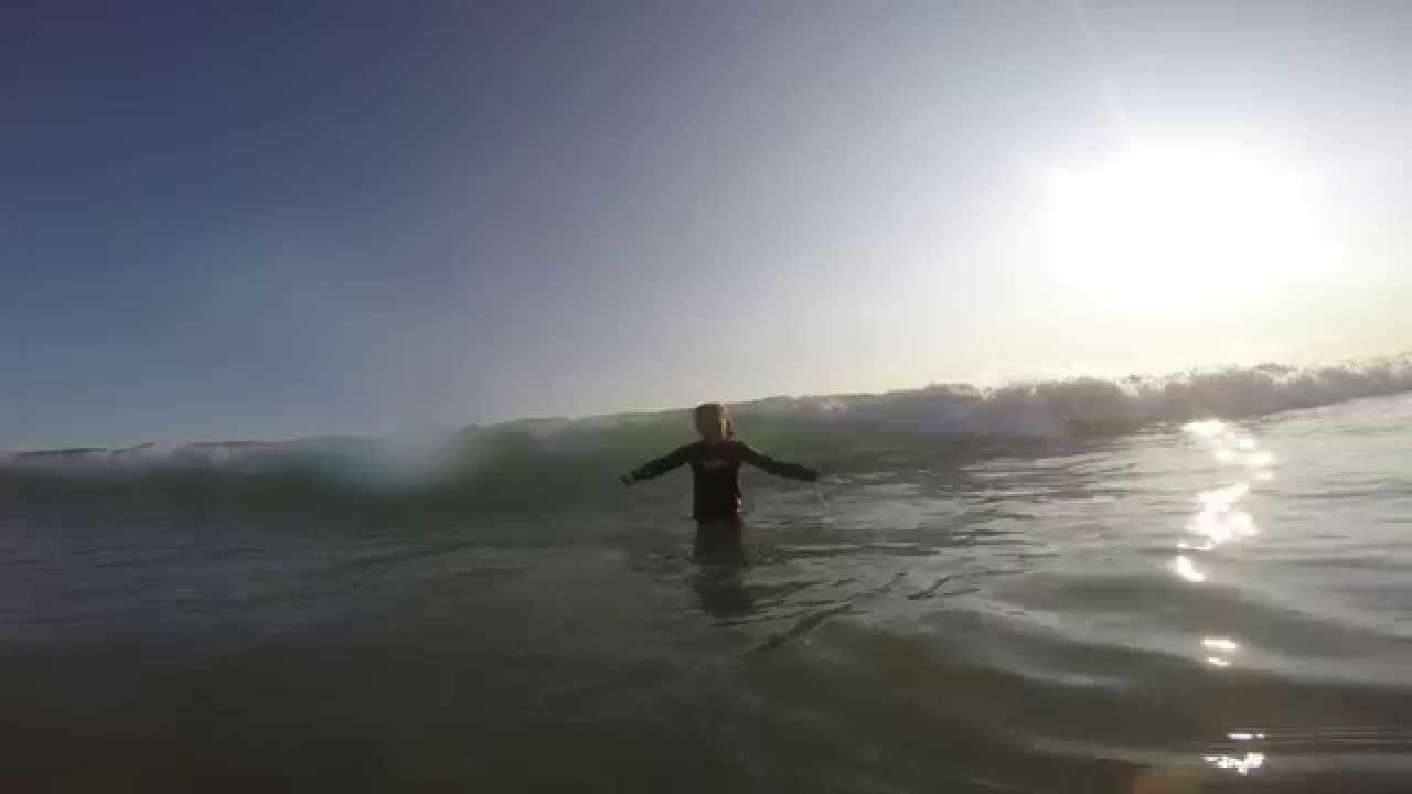 surfing birds - YouTube