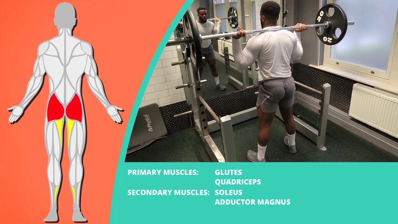 How To Do Barbell Squats | Exercise Demo - YouTube